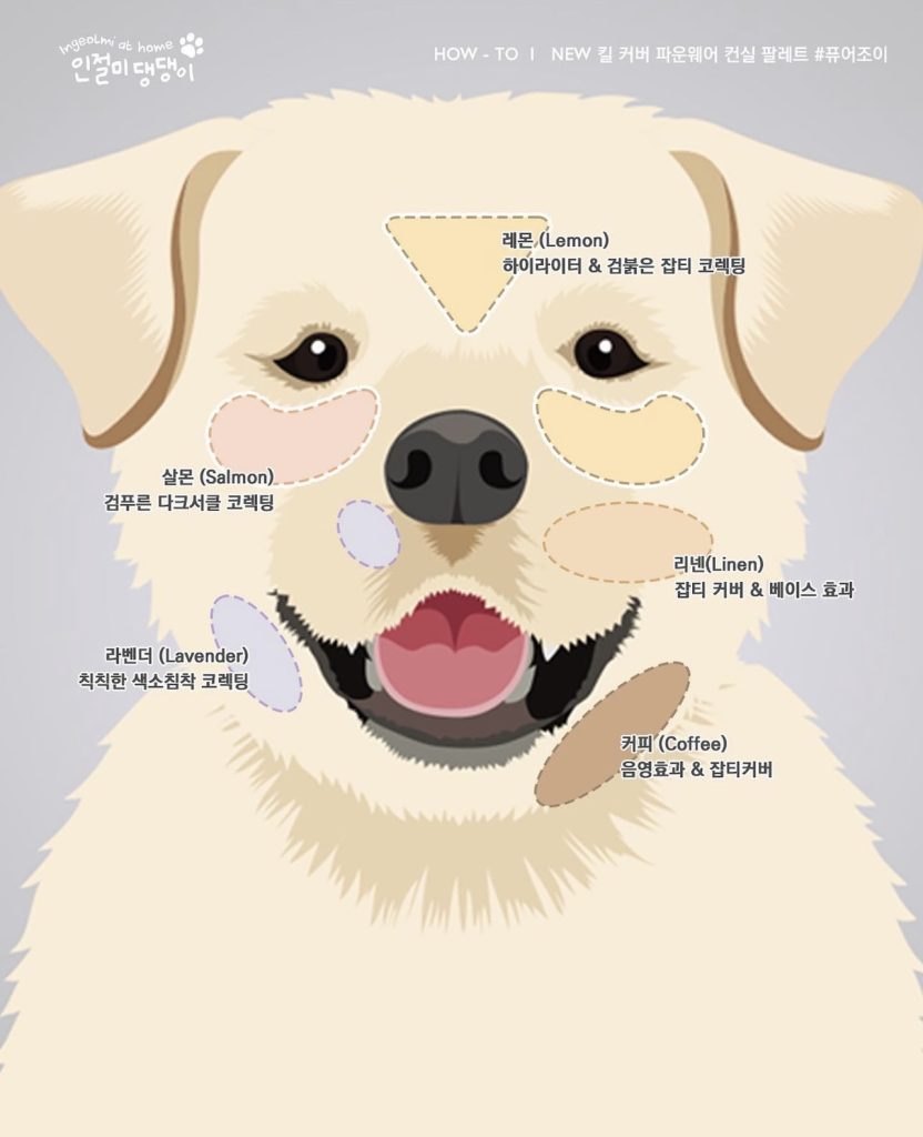 【2023.s/s】犬好きあつまれ！ CLIO新作♡インジョルミ エディション | 韓国情報メディア llyouth（トゥーユース）